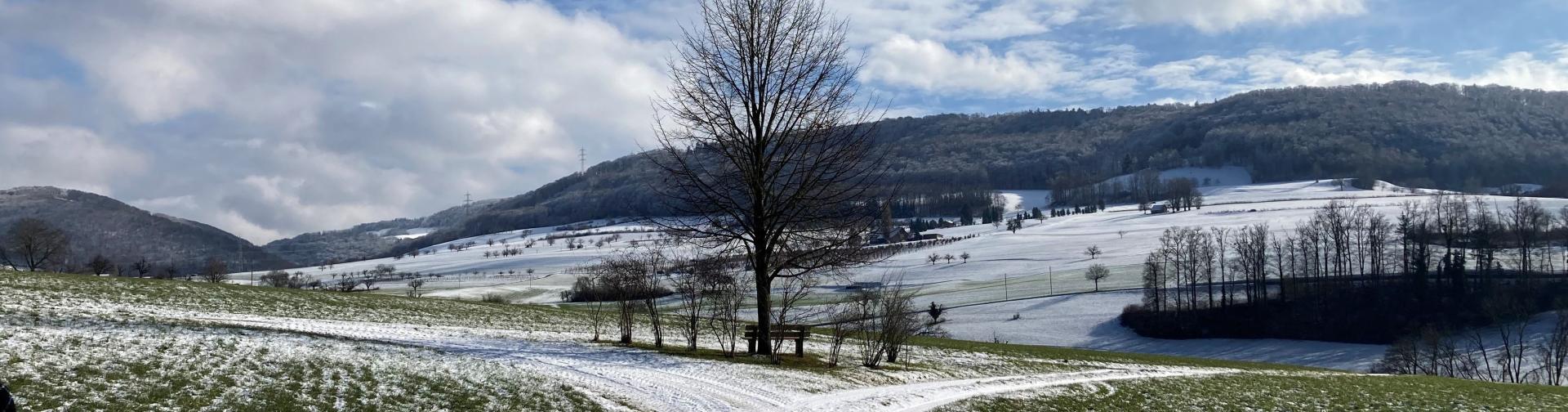 Startseite | Gemeinde Wenslingen