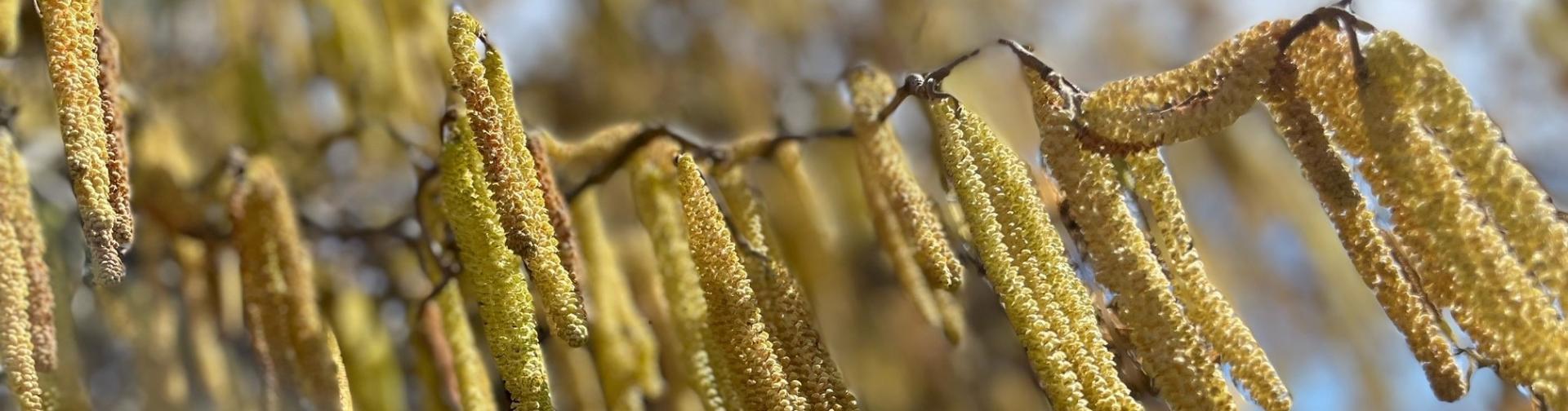 Startseite | Gemeinde Wenslingen