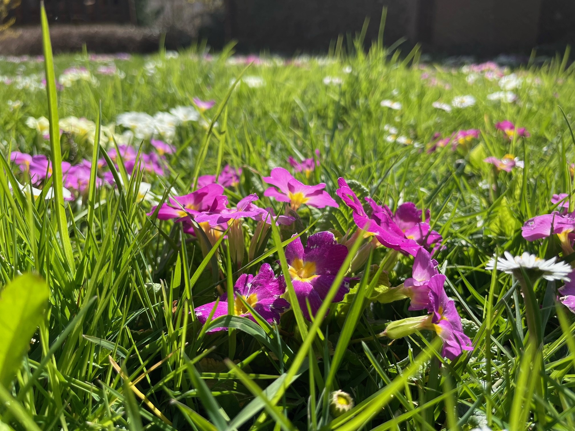 Erbschaftsamt Basel-Landschaft | Gemeinde Wenslingen